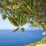 Άδεια στις εργαζόμενες και για γυναικολογικό έλεγχο
