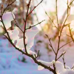 DASHBOARD-myEFKA: Όλα τα ένσημα των ασφαλισμένων ηλεκτρονικά